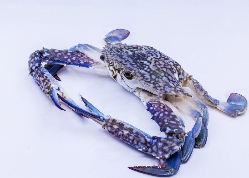 Cách Chọn Ghẹ Ngon